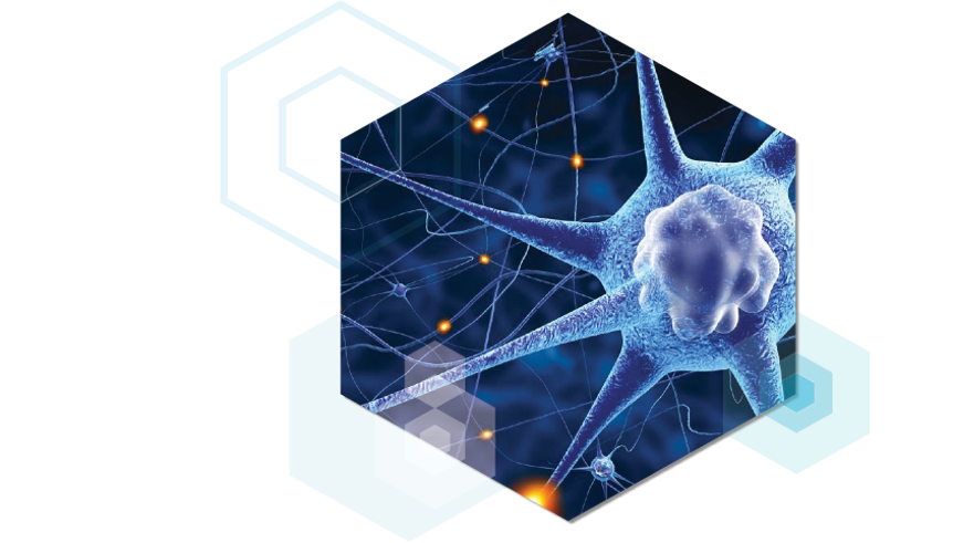 SOP Subarashi - Informasi - LifeScienceIndonesia.com