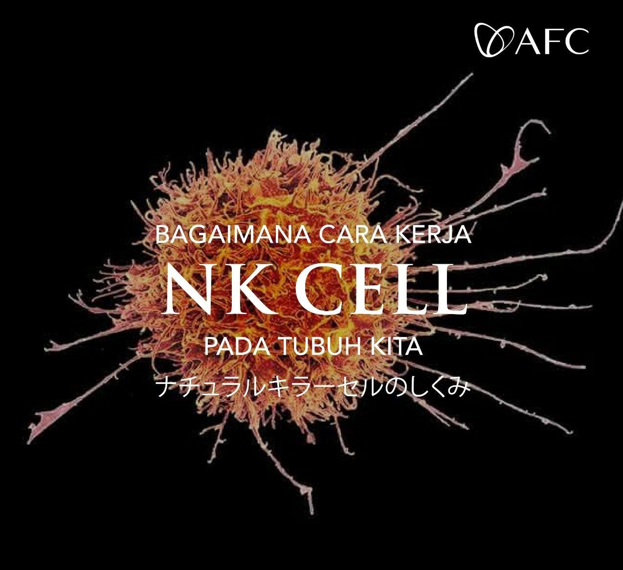 Bagaimana Cara Kerja NK Cell pada Tubuh Kita ? - LifeScienceIndonesia.com